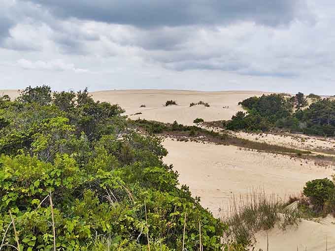 The dunes roll toward Roanoke Sound like frozen waves, proving nature's got better design skills than any architect.
