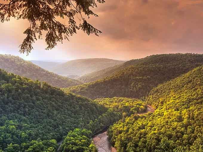 When the light hits just right, the canyon becomes a masterpiece that no Instagram filter could improve.