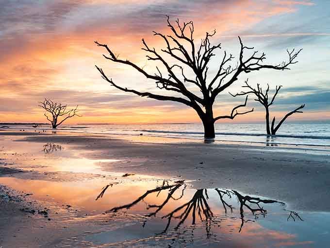Those skeletal trees standing in the surf at sunset create a scene so hauntingly beautiful, even your phone camera can't mess it up.