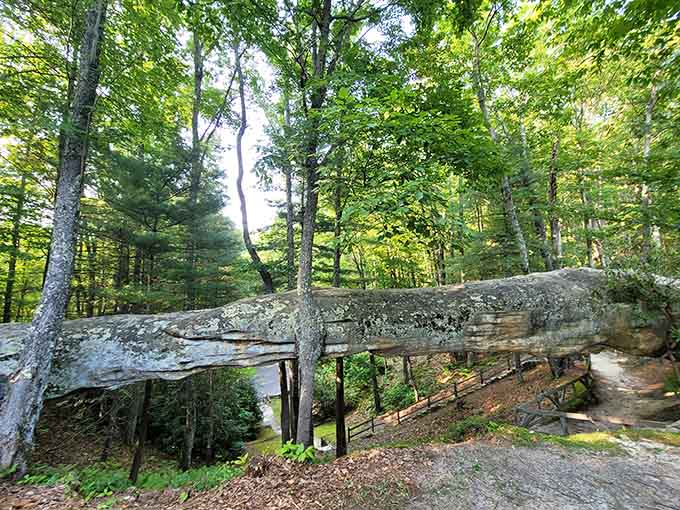 Log Rock stands like nature's own balcony, offering front-row seats to Kentucky's most dramatic mountain views.