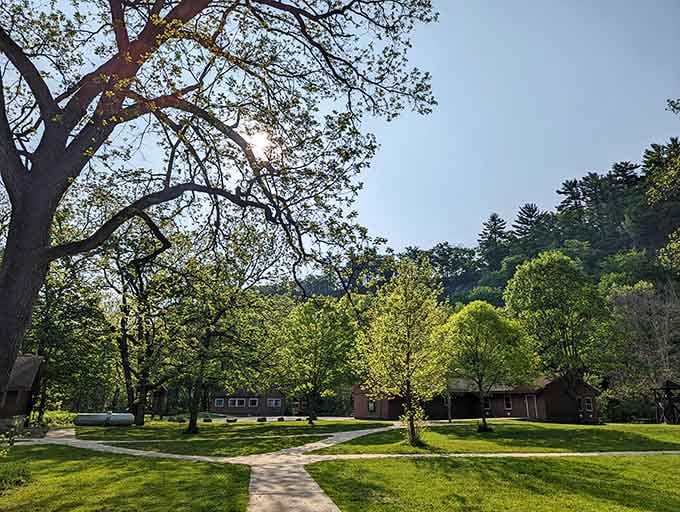 The campground nestled among towering trees offers that perfect blend of civilization and wilderness your back will appreciate come morning.