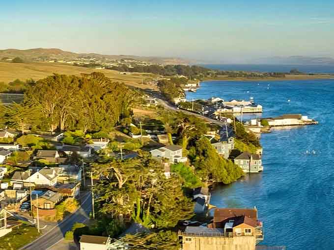 Golden hour over Bodega Bay turns the water into liquid sapphire and makes everything look like a postcard.