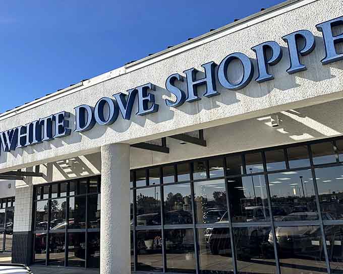 That bold signage and pristine exterior signal you've arrived at Glendale's legendary bargain paradise, not some dusty rummage sale.