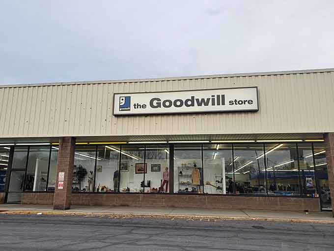 The storefront that proves retail therapy doesn't require a second mortgage or questionable financial decisions.