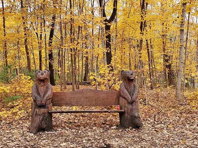 Two wooden bears offer the best seats in the house for watching fall's spectacular color show unfold around you.