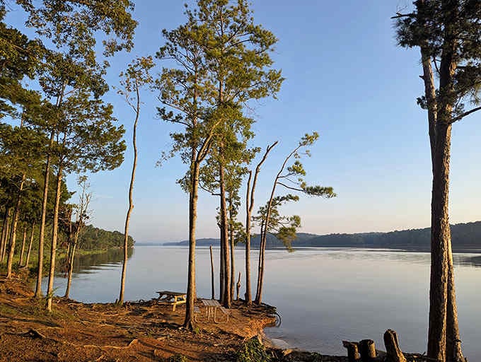 Morning light paints the shoreline in amber tones, creating a waterfront gallery that changes with every sunrise.