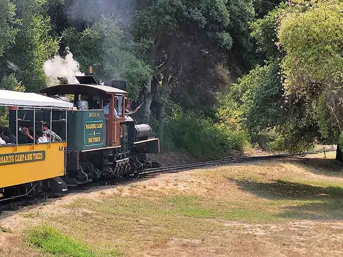 That’s an authentic steam locomotive fulfilling its original purpose—pulling passengers through a slice of paradise with unmistakable elegance.