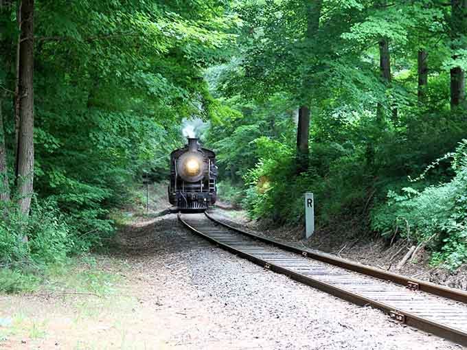 When a steam train emerges from the forest like something from a fairy tale, you remember why movies exist.
