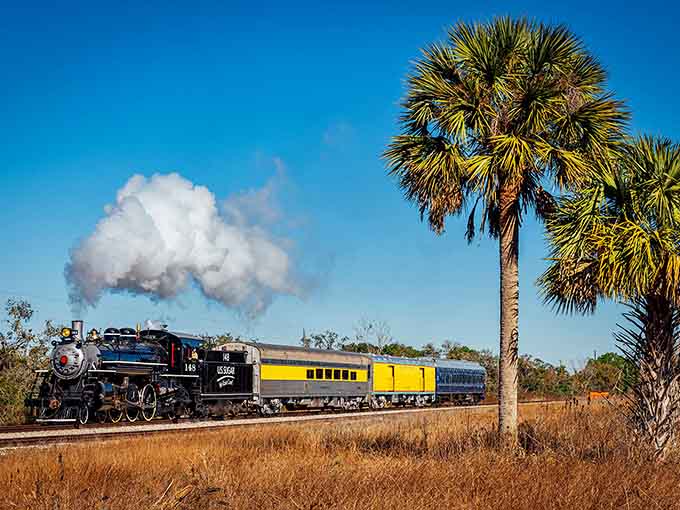 There she is in all her glory, a genuine steam locomotive that'll make your heart skip a beat.