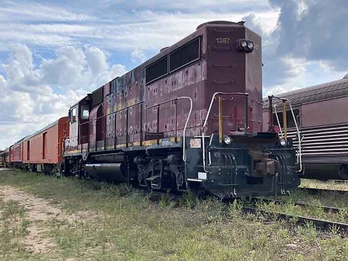 Those coral-colored cars against green grass create a postcard moment before you even board the train.