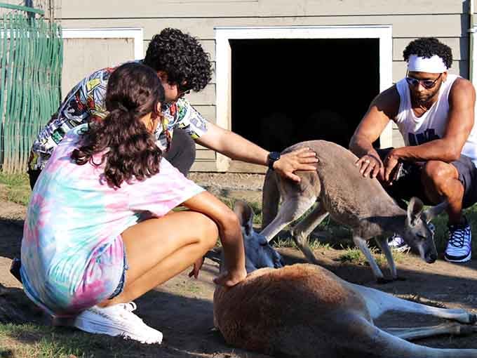 Forget petting zoos&mdash;these kangaroos showed up for the real deal: sunshine, snacks, and serious cuddles!