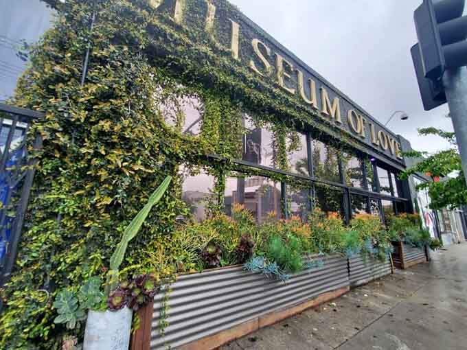 That ivy-covered exterior isn't just pretty, it's basically the museum giving you a green hug before you even walk in.