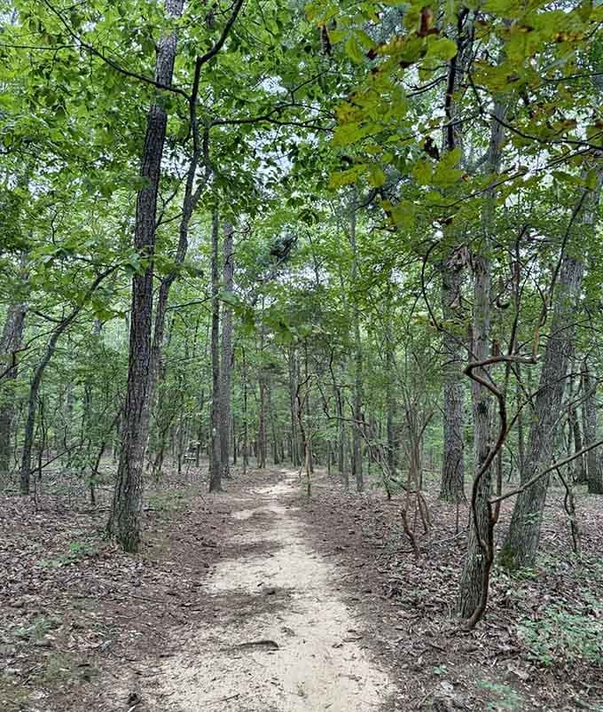 The trail welcomes you with that classic Alabama forest charm, where every step feels like coming home.