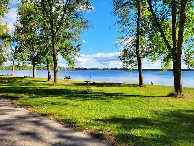 That first glimpse of Lake Carlos through the trees hits different when you realize you've been missing this your whole life.