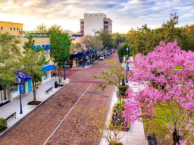 When spring hits Winter Park, the streets explode in pink blooms that make you forget you're in alligator country.