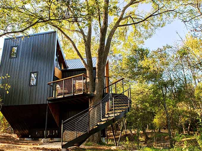This isn't your childhood treehouse, unless your parents were secretly millionaire architects with impeccable taste.