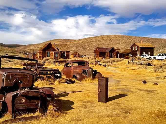 When rusty vintage cars become art installations, you know you've found something special in the California wilderness.