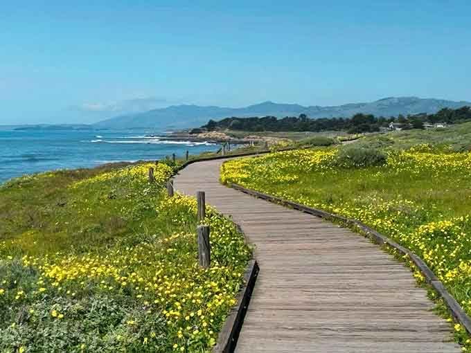 The boardwalk stretches ahead like a golden ribbon, promising ocean views that'll make your heart skip a beat.