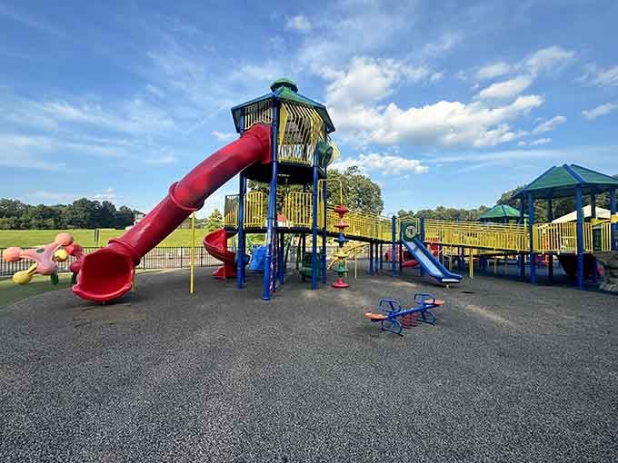 When slides come with this much personality, you know someone actually cared about building childhood memories here.