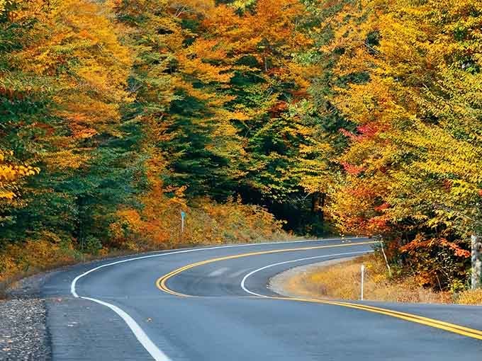 Autumn puts on its annual masterpiece along these curves, proving nature doesn't need a filter to look absolutely stunning.