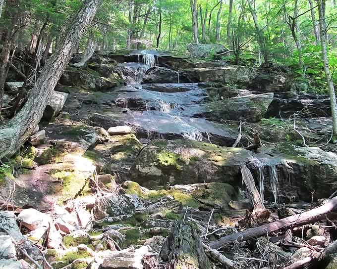 Water cascading over moss-covered rocks like nature's own meditation fountain, minus the subscription fee.