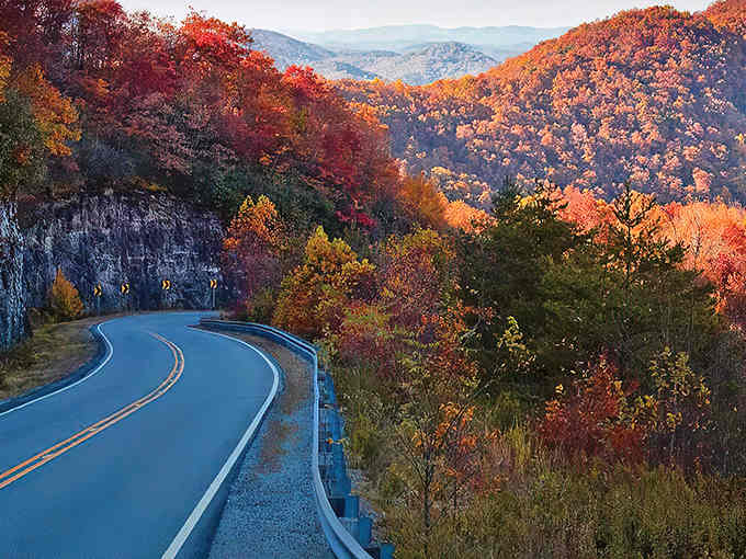 Every curve reveals another postcard moment where the road dances through autumn's most spectacular performance.