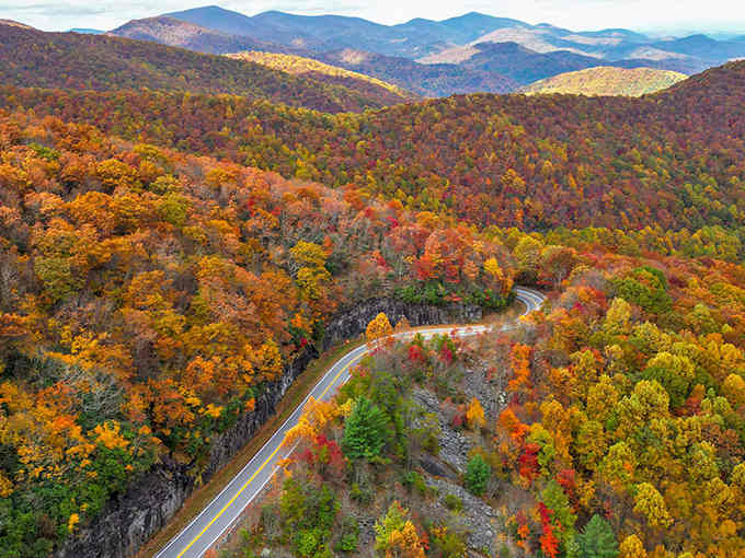 Fall colors explode across the mountains like nature's own fireworks display, completely free of charge.