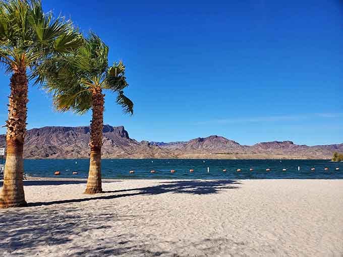 Two palm trees, endless blue water, and mountains that look like they're posing for a postcard. Show-offs.