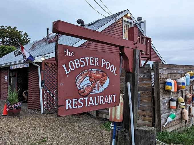 Those colorful buoys aren't just decoration, they're like merit badges earned from years of serving spectacular seafood by the sea.