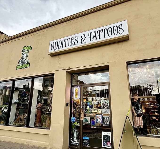 That lemur logo outside promises wisdom, and boy, does this place deliver on intellectual curiosities galore.