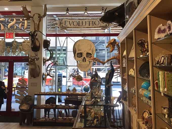 This is what happens when a natural history museum and a boutique decide to have the world's most interesting collaboration.