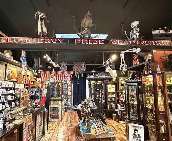 Every surface tells a story in this wonderland where skeletons dance overhead and curiosities beckon from every corner.