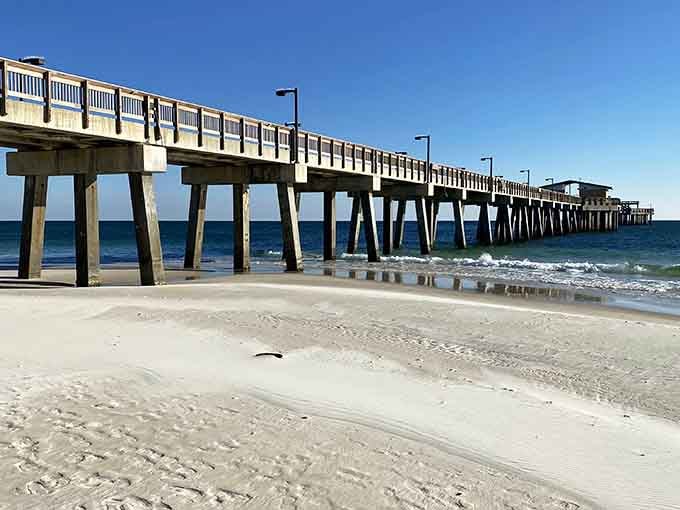 This wooden boardwalk leads you through coastal ecosystems like nature's own guided tour, minus the ticket price.