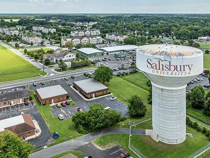 That iconic water tower isn't just a landmark; it's your reminder that college town energy keeps this place young.