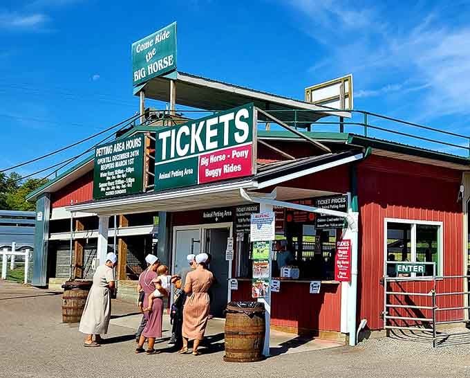 That "Come Ride the Big Horse" sign isn't kidding around, folks, this is where the real fun begins.