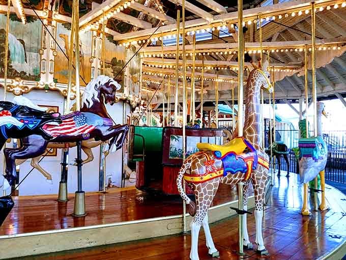 Look at those beautifully painted creatures, each one a masterpiece that's been bringing smiles since your grandparents were young.