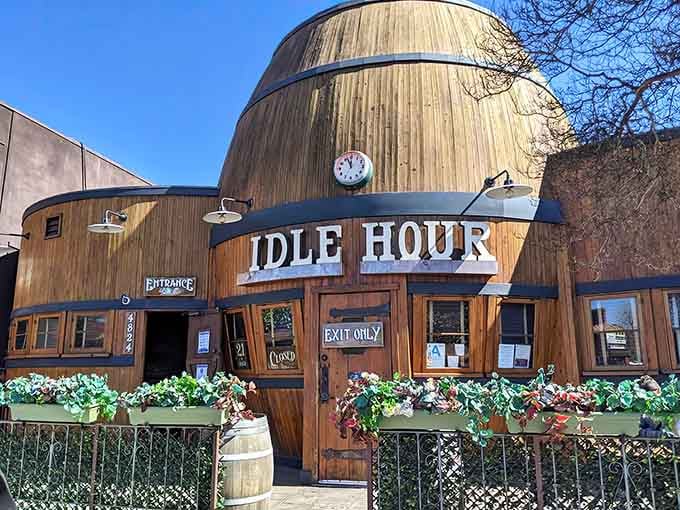 The flower boxes almost seem apologetic for how wonderfully absurd this whole situation is, don't they?