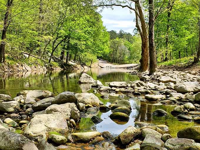 When nature decides to frame itself, you get views like this that make your phone's camera roll jealous.
