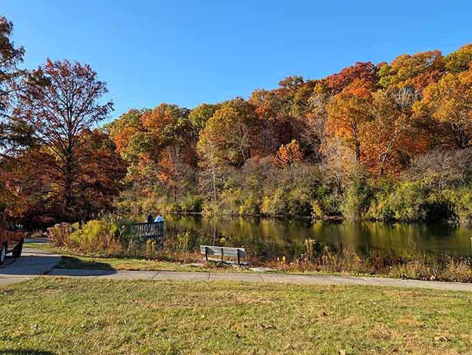 Nature's palette goes absolutely wild here, painting the hillsides in colors that make your camera weep with joy.