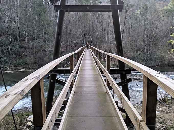 That footbridge stretches across the river like an invitation you can't refuse, promising adventure on the other side.