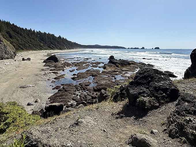 Low tide reveals Shi-Shi's rocky personality, where every stone tells a story and seabirds judge your footwear choices.