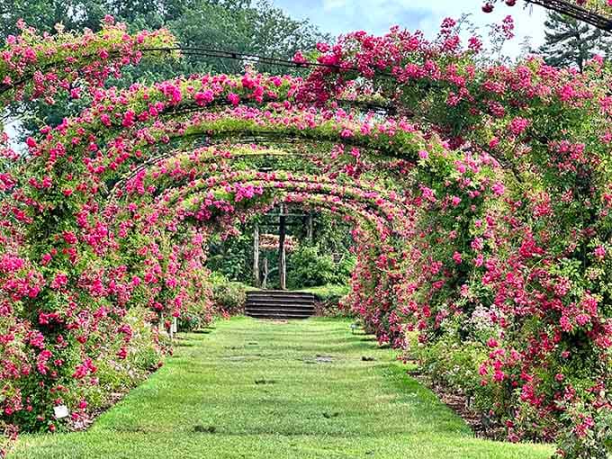 Those rose-covered arches create a tunnel of blooms that would make even the most jaded heart skip a beat.