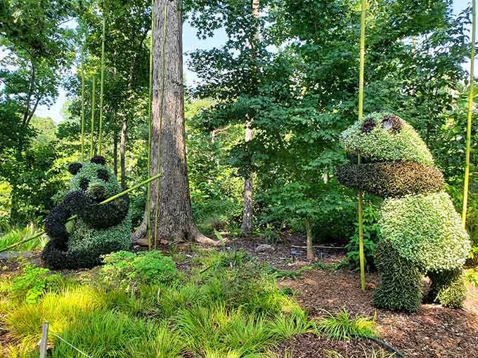 When plants decide to cosplay as wildlife, you get whimsical creations that'll make you smile every single time.