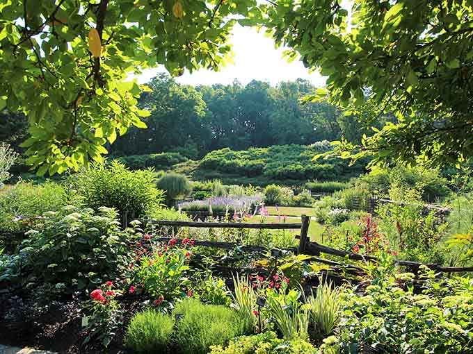 Where carefully tended beds meet wild beauty, proving nature and design make excellent roommates.