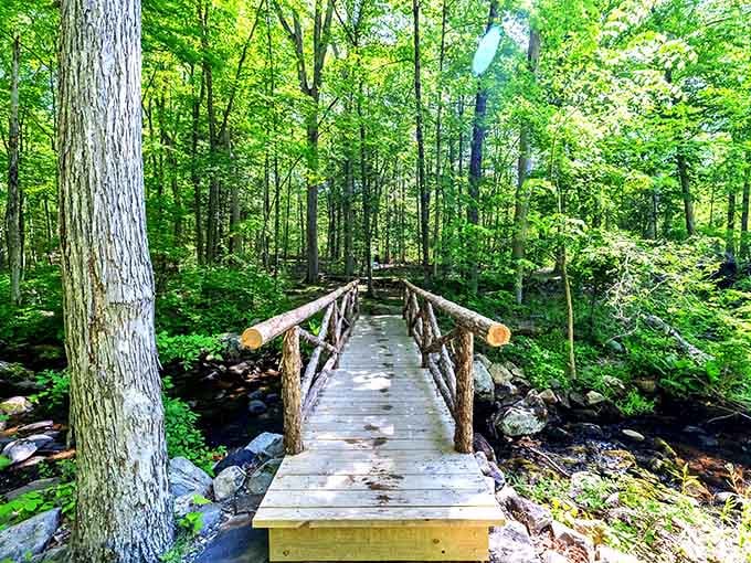 This rustic bridge isn't just a path through the woods, it's your portal to tranquility and Instagram glory.