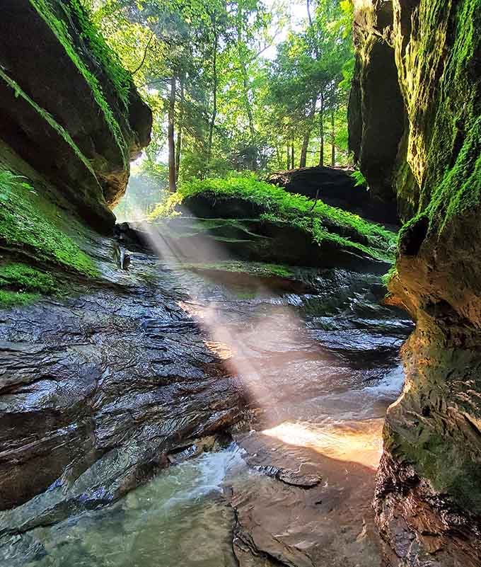 Sunlight pierces through the canyon like nature's own spotlight, illuminating moss-covered walls that belong in a fantasy film.