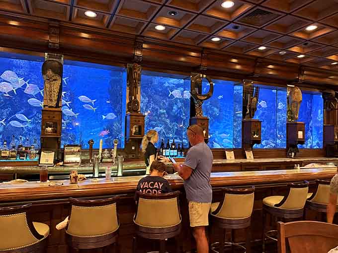 That blue glow isn't from your phone screen, it's from thousands of gallons of pure aquatic magic.