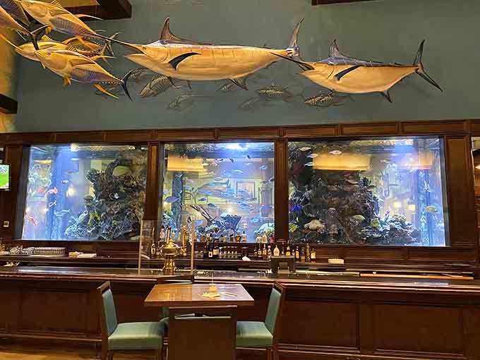 Those mounted marlins overhead aren't just decoration, they're your dining companions reminding you where good seafood comes from.