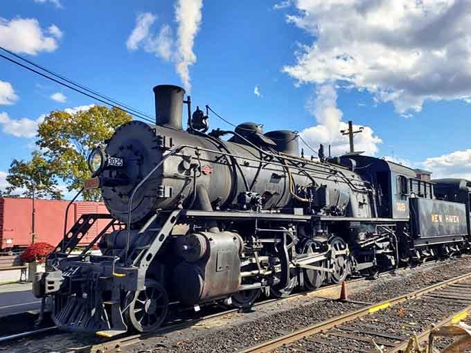 That gleaming black locomotive isn't just machinery&mdash;it's a time machine that runs on coal and childhood dreams.