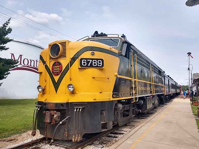 That bright yellow locomotive practically glows in the sunlight, looking like it just rolled off the assembly line yesterday morning.